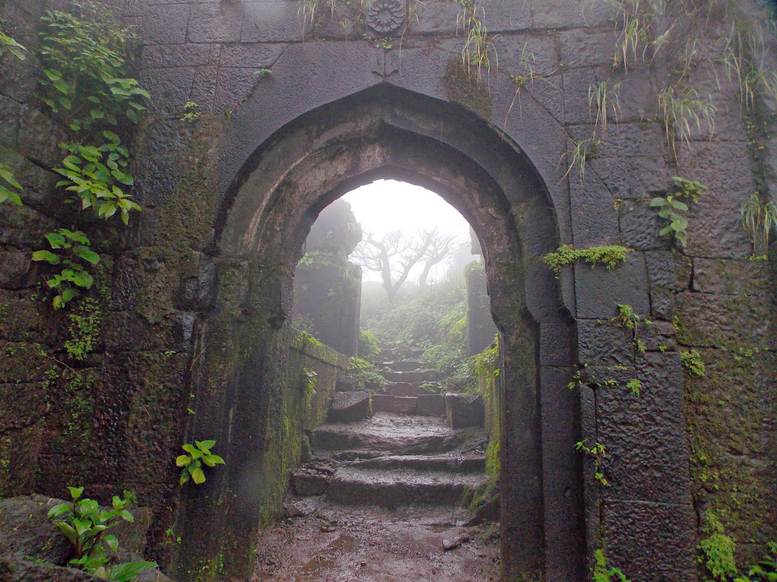 rajmachi | राजमाची (Shrivardhan fort and Manaranjan Fort) | गड-चित्रे