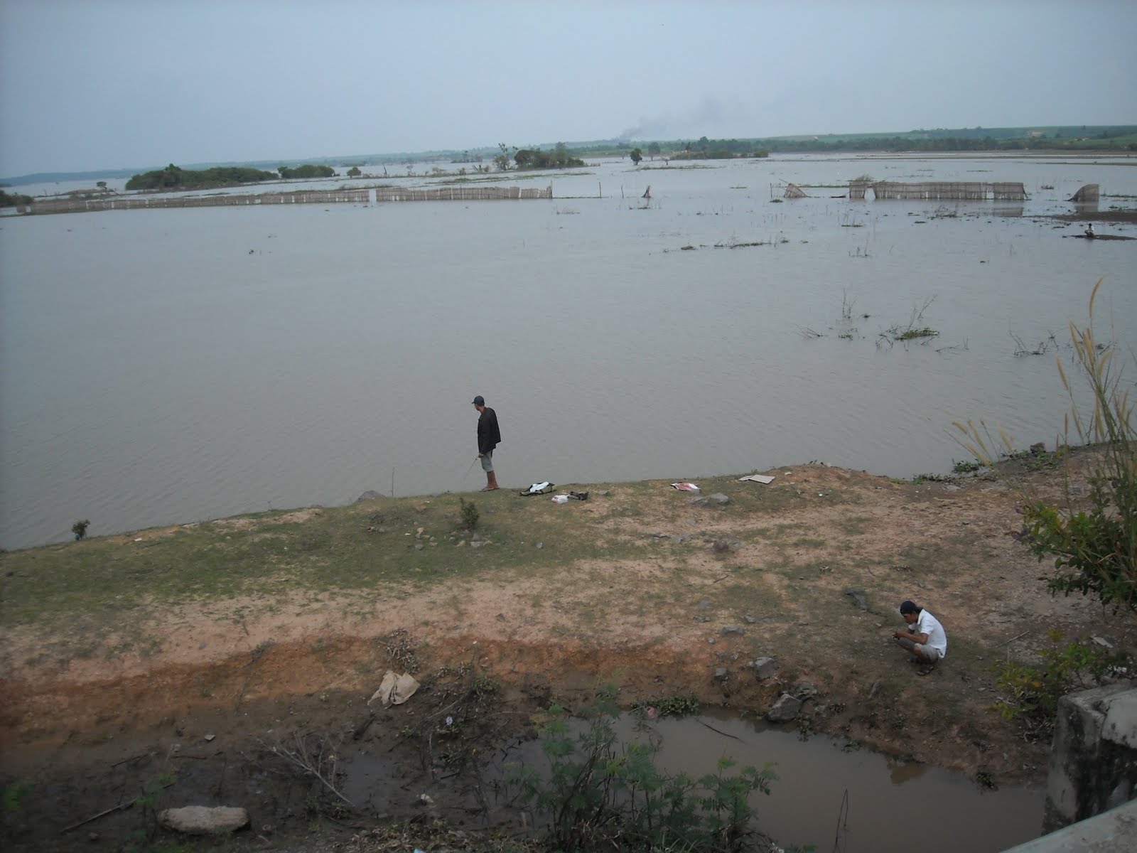 Rawa Rawa Yang Terletak Di Tepi Pantai Sangat Berguna Untuk ...