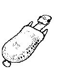 Caminalcules ~ Hudson Valley Geologist