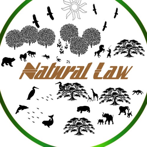 Something ╮(╯ ╰)╭: Natural Law