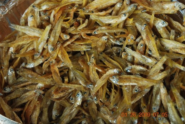 PHUKET INFORMATION: Anchovy (Ching chang fish)