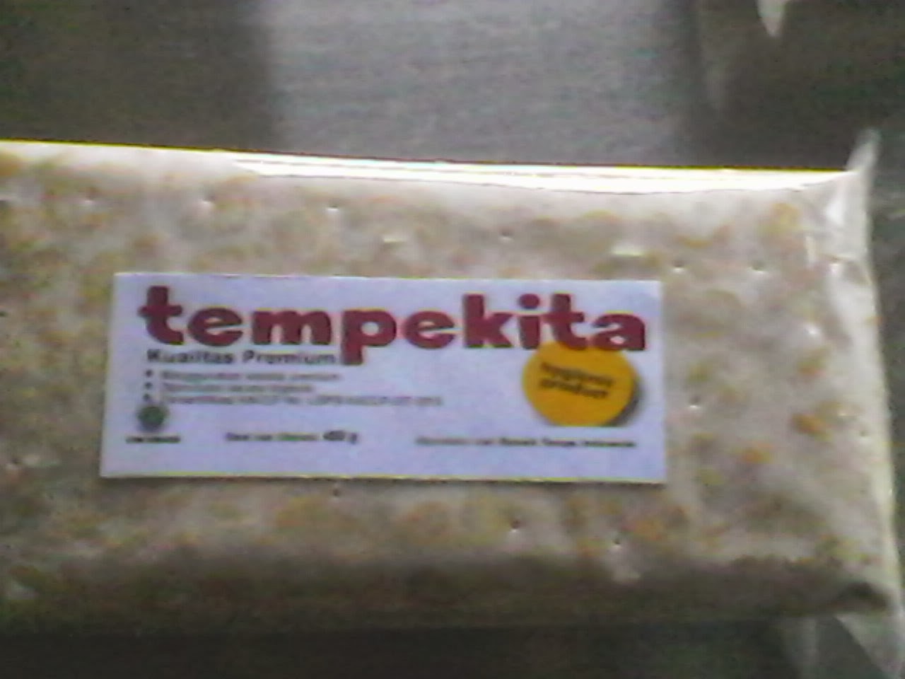 Hasil Observasi ke Koperasi Produsen Tempe Tahu Indonesia (KOPTI) Kab ...