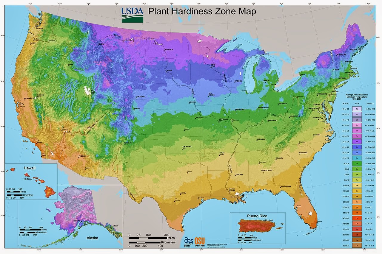 Think Global, Garden Local: Gardening zones