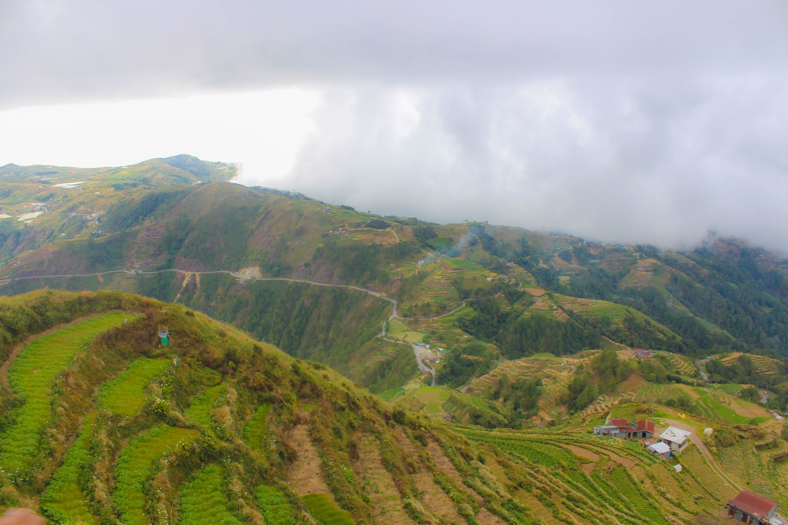 Baron the Explorer: Benguet’s Highest Peak : Mt. Timbak and Mt. Tabayoc