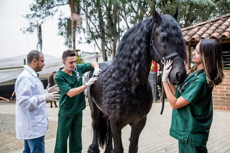 ZooTecnia: Características de la ZooTecnia