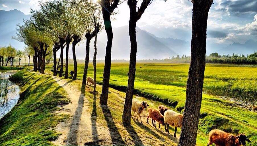 Worlds Beauty: GilGit Baltistan, Katpana village, Rope suspension ...