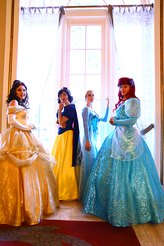 Dolly Brie: Every Princess needs some sparkle and shine! How to add ...