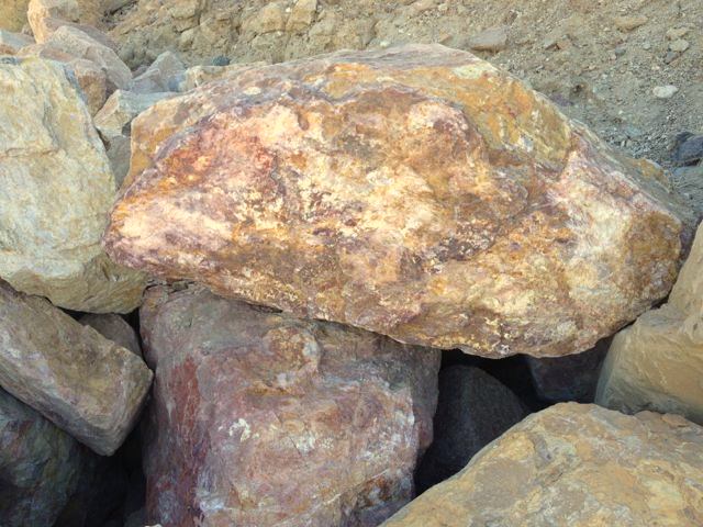 Things to Ponder: Palm Springs Gold