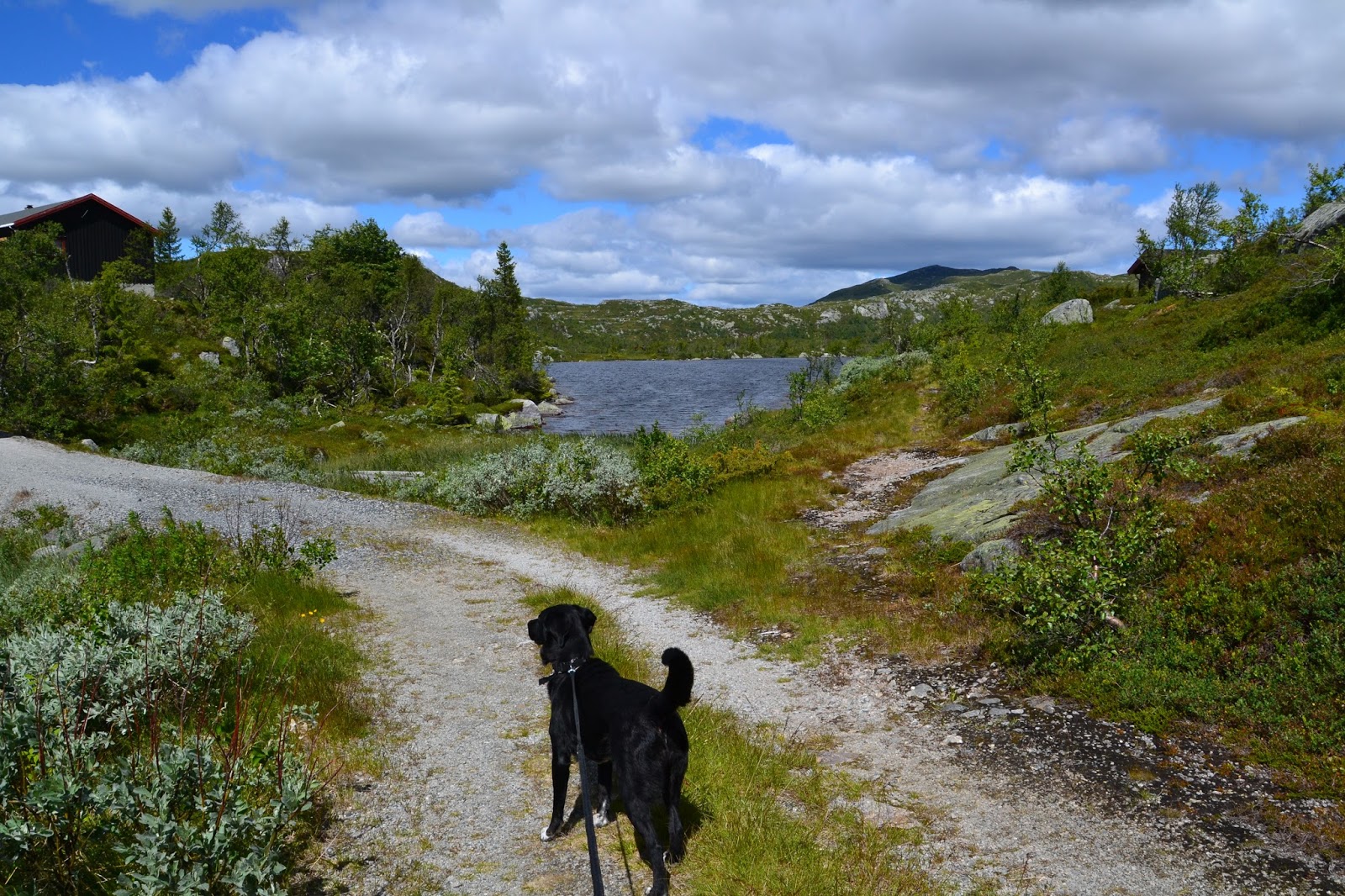 Rundtur Tempelseter - Steinveggen - Donkeliåsen - Neverfantetjenn ...
