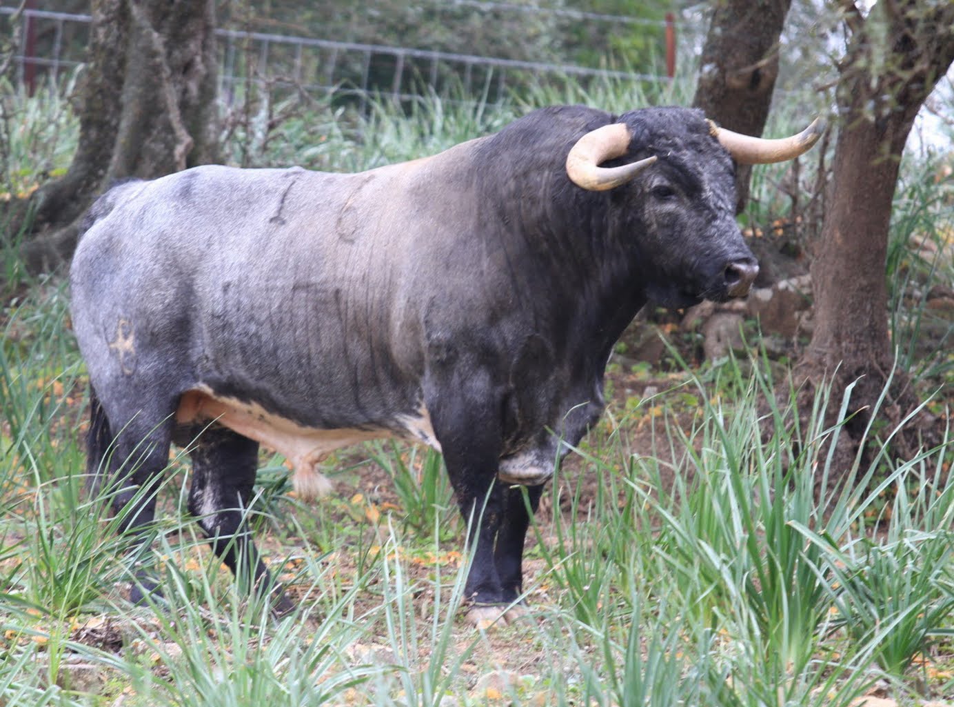 EL RINCON DEL MAESTRO.