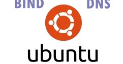 Cara Install dan Konfigurasi DNS Dengan BIND9 di Ubuntu Server | SALING BERBAGI ILMU