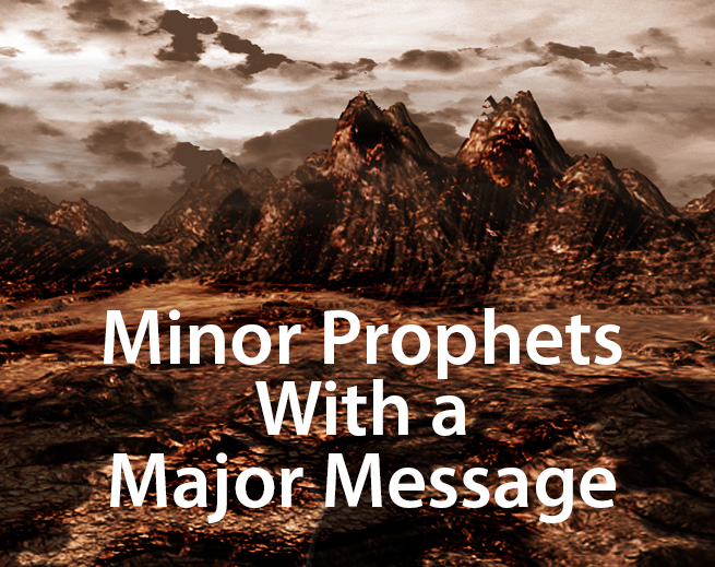 Observations from a simple life: Jonah, Micah, Nahum: minor prophets ...