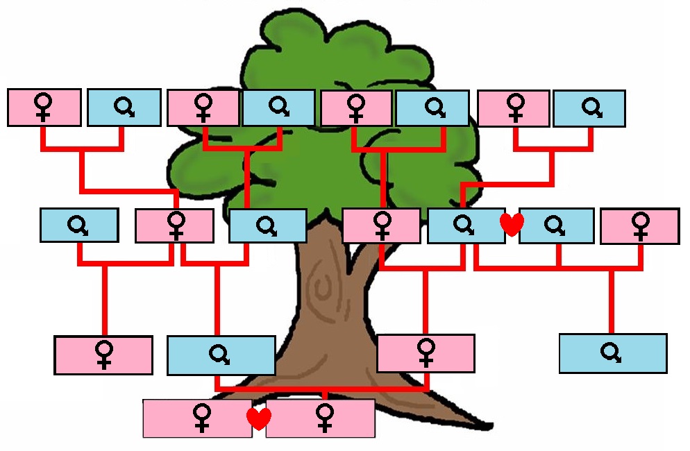 The Queerstory Files: Out of Our Trees : Queer Family History