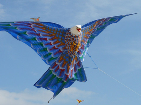 Le Carnaval des Ani-Mots: Dans les Nuages, les Cerfs Volants