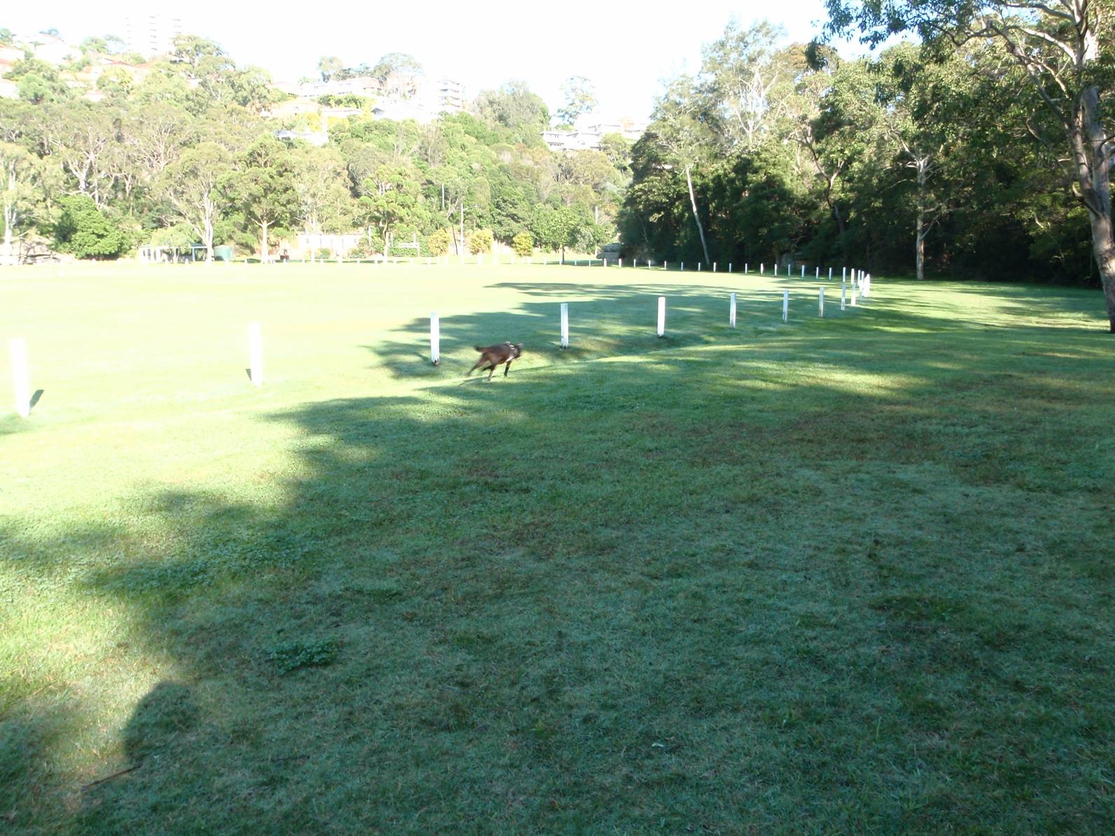 House Sits Blog : Morning walk and run at Tunks Park