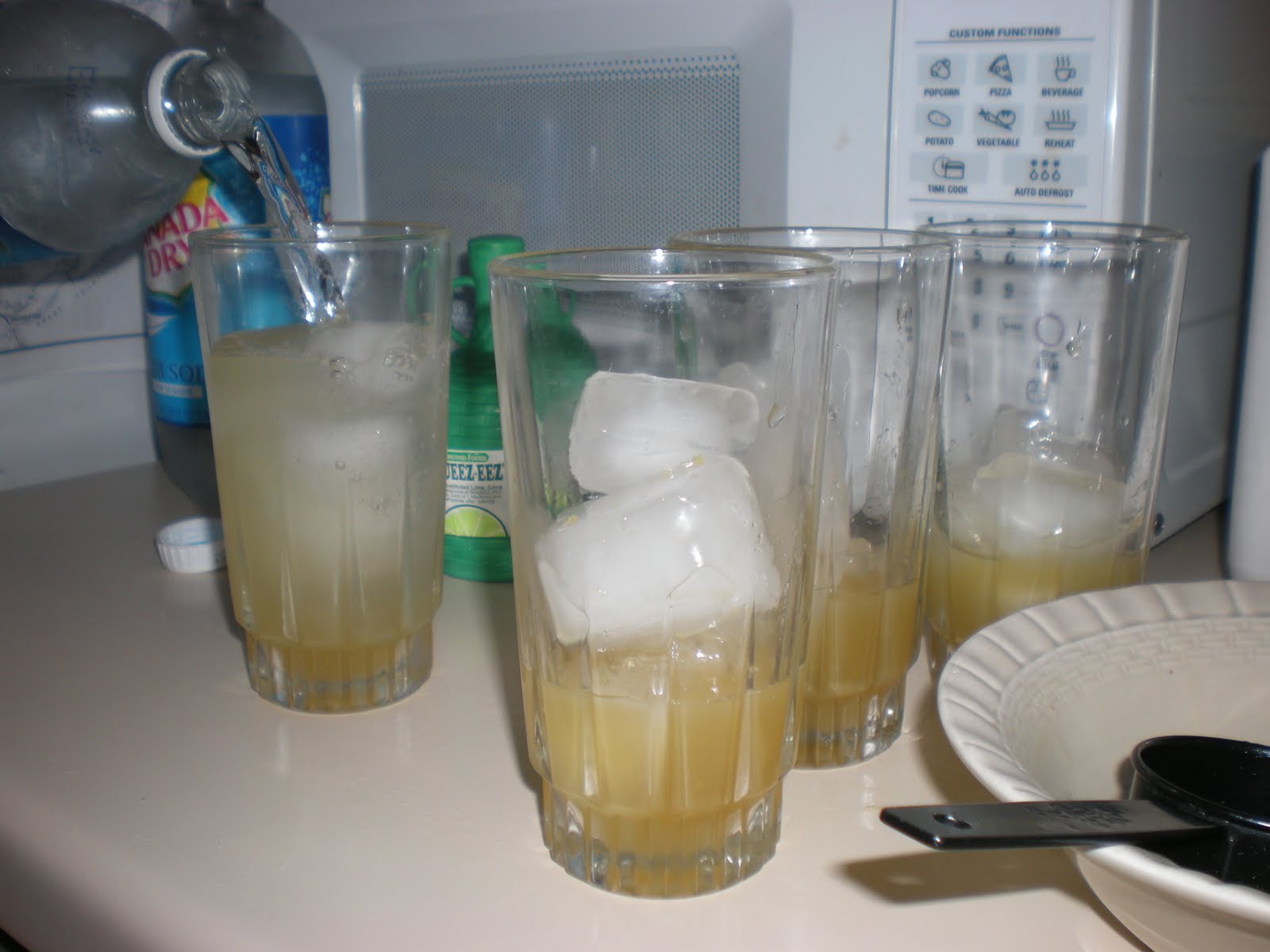 Welcome!: Homemade Ginger Soda, Exploding Peeps, and The Longest ...