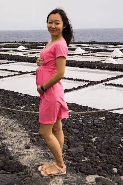 Queen of Darts: A maternity & nursing dress - Simplicity 1469/Megan ...