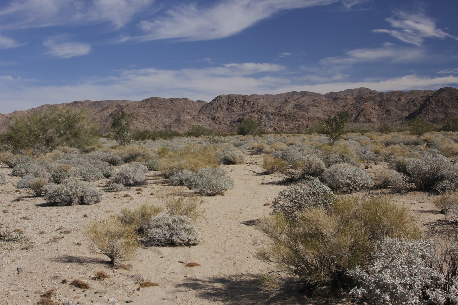 Deserts and Beyond: Desert walk