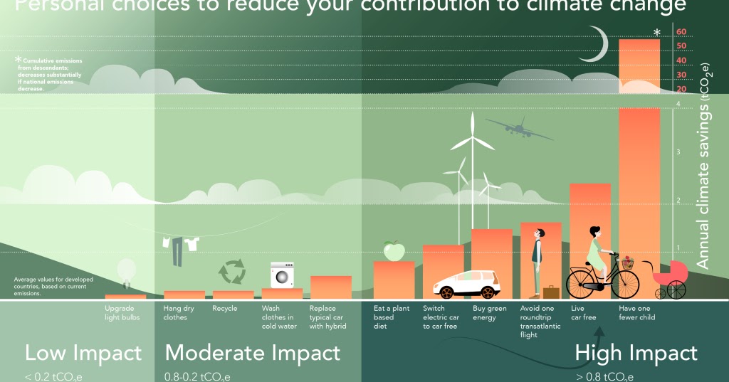 Nonnie's Blog: Amazing infographic on carbon impact