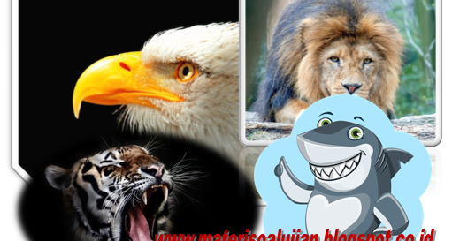 Ciri dan Contoh Hewan Karnivora, Omnivora, Insektivora - cekrisna