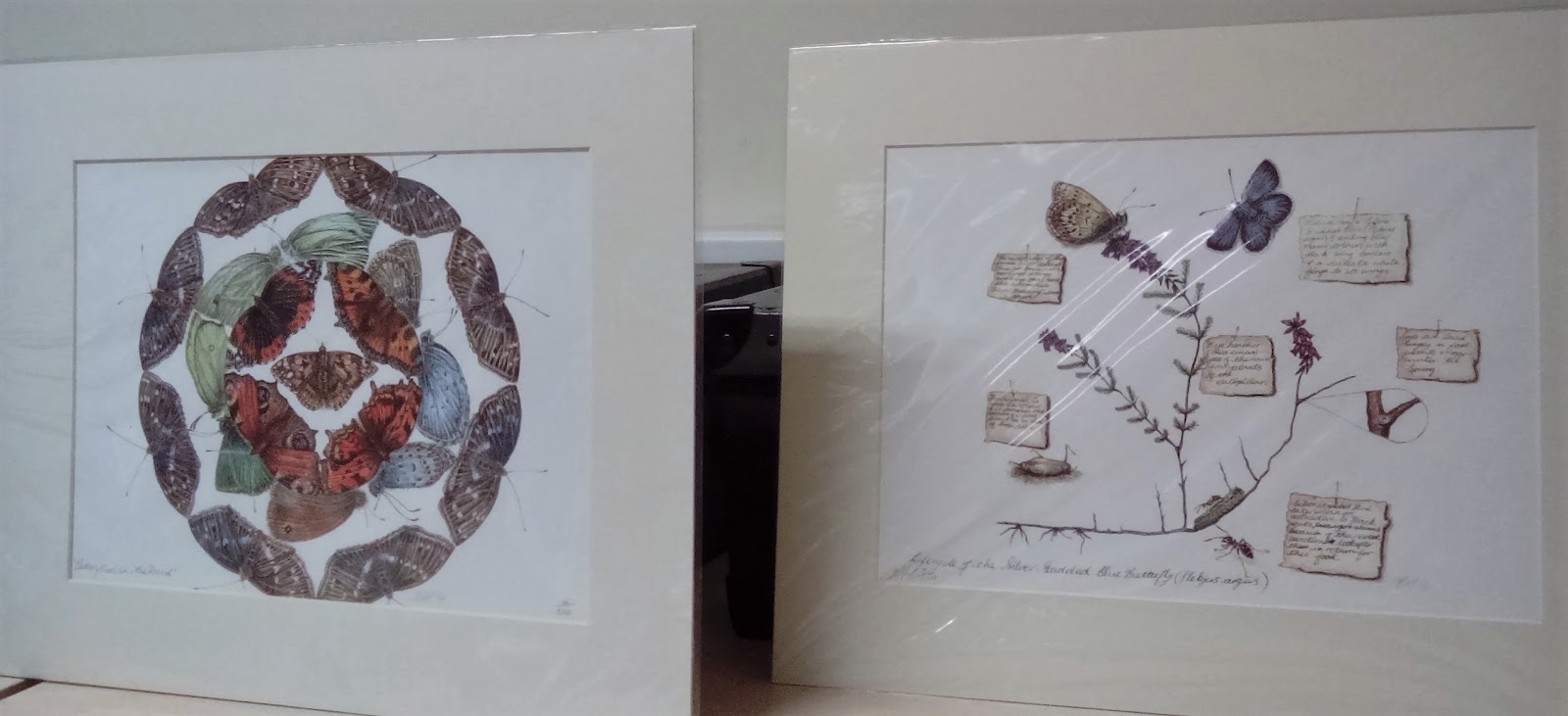 Jules Woolford : 'Beautiful British Bees' - Microscopy Art Workshop ...