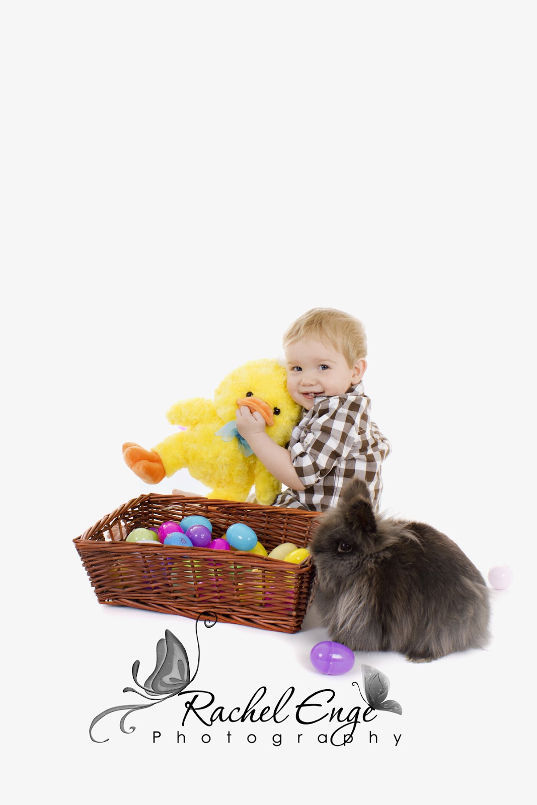 Rachel Enge Photography: Easter Bunny Mini Sessions 2012 {Melfort, Sk ...