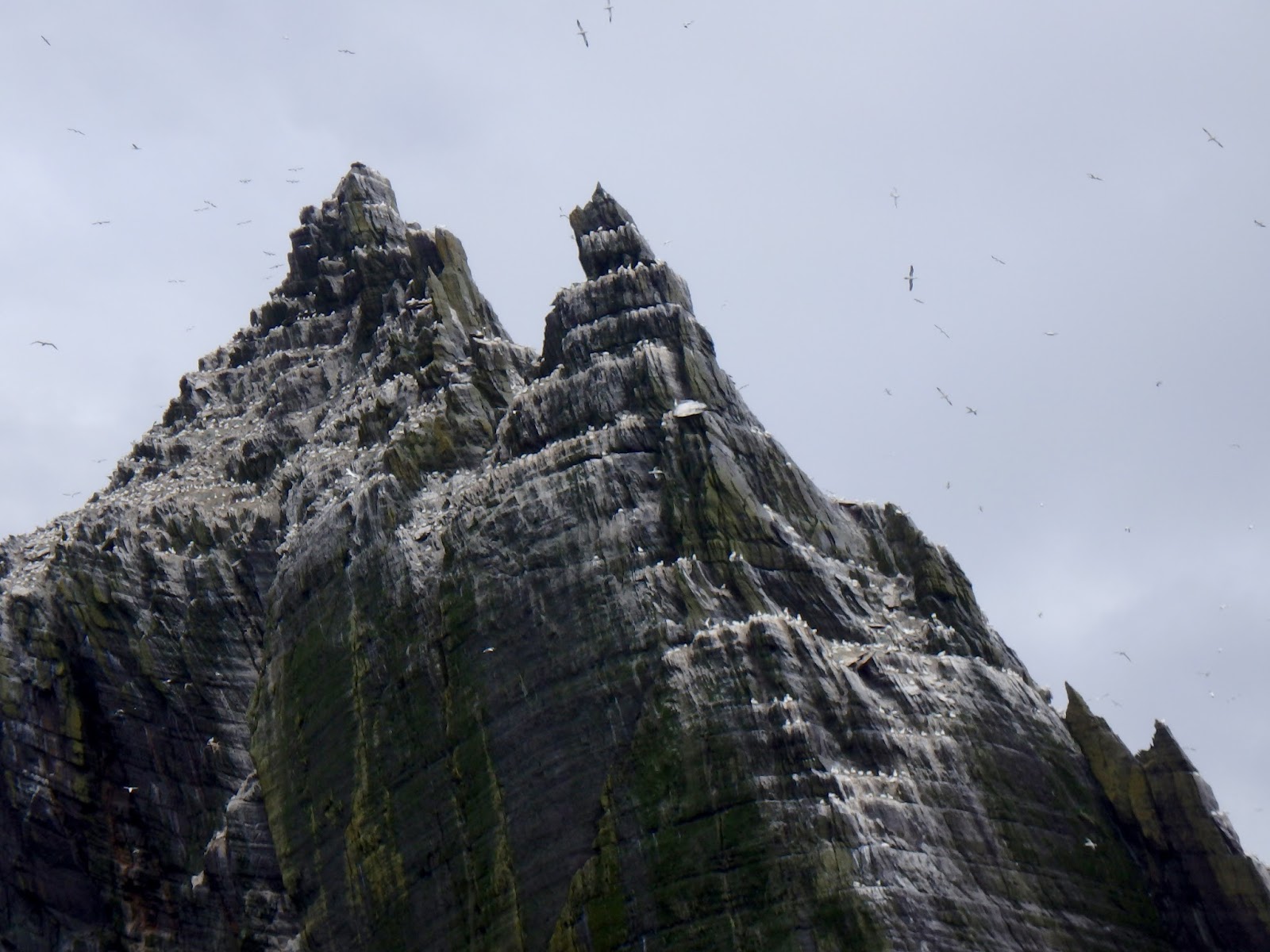 Expeditions and Adventures: The Skellig Islands