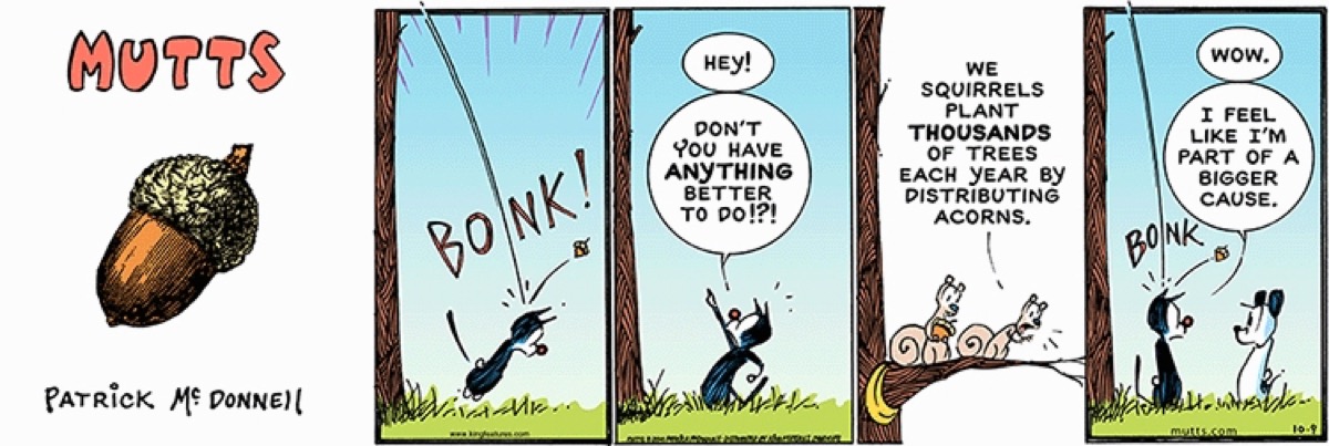 The Last Leaf Gardener: In Honor of Squirrel Appreciation Day