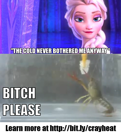 NeuroDojo: June 2015