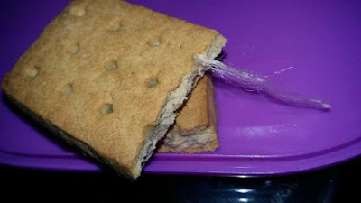 "I Found This In My Daughter's Biscuits" - Nigerian Mother (Photos ...