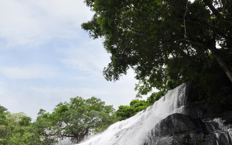 Tamilnadu Tourism: Tiger Falls, Theni
