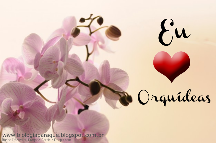 BIOLOGIA PARA QUÊ: Gift de Biologia