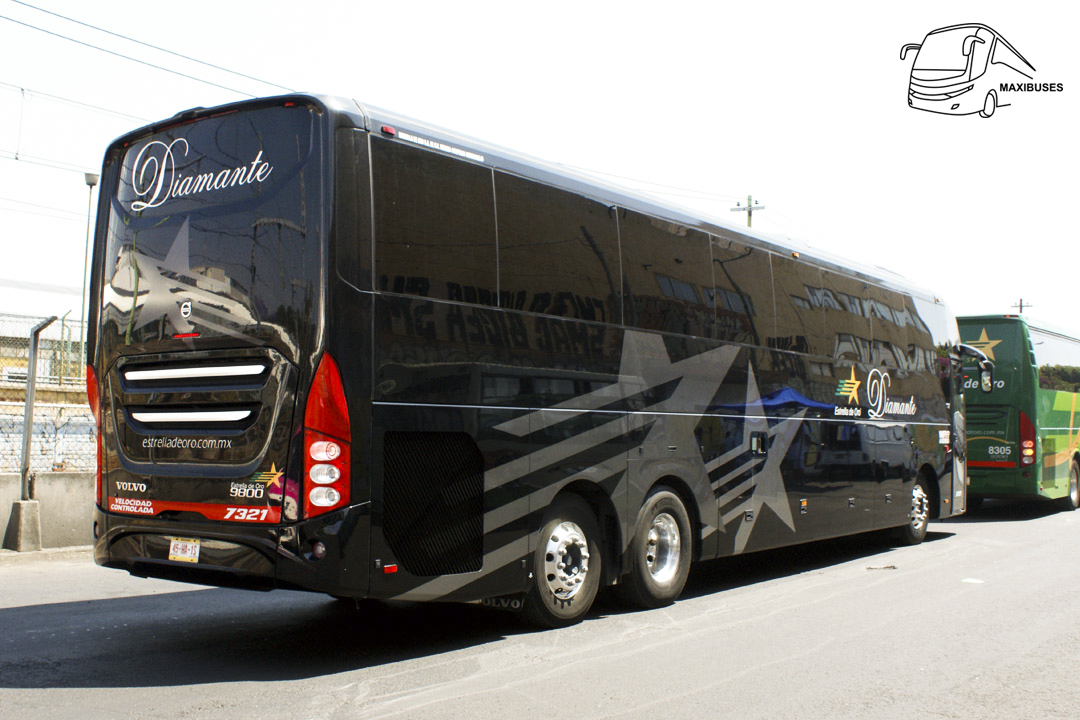 MAXIBUSES: ESTRELLA DE ORO DIAMANTE