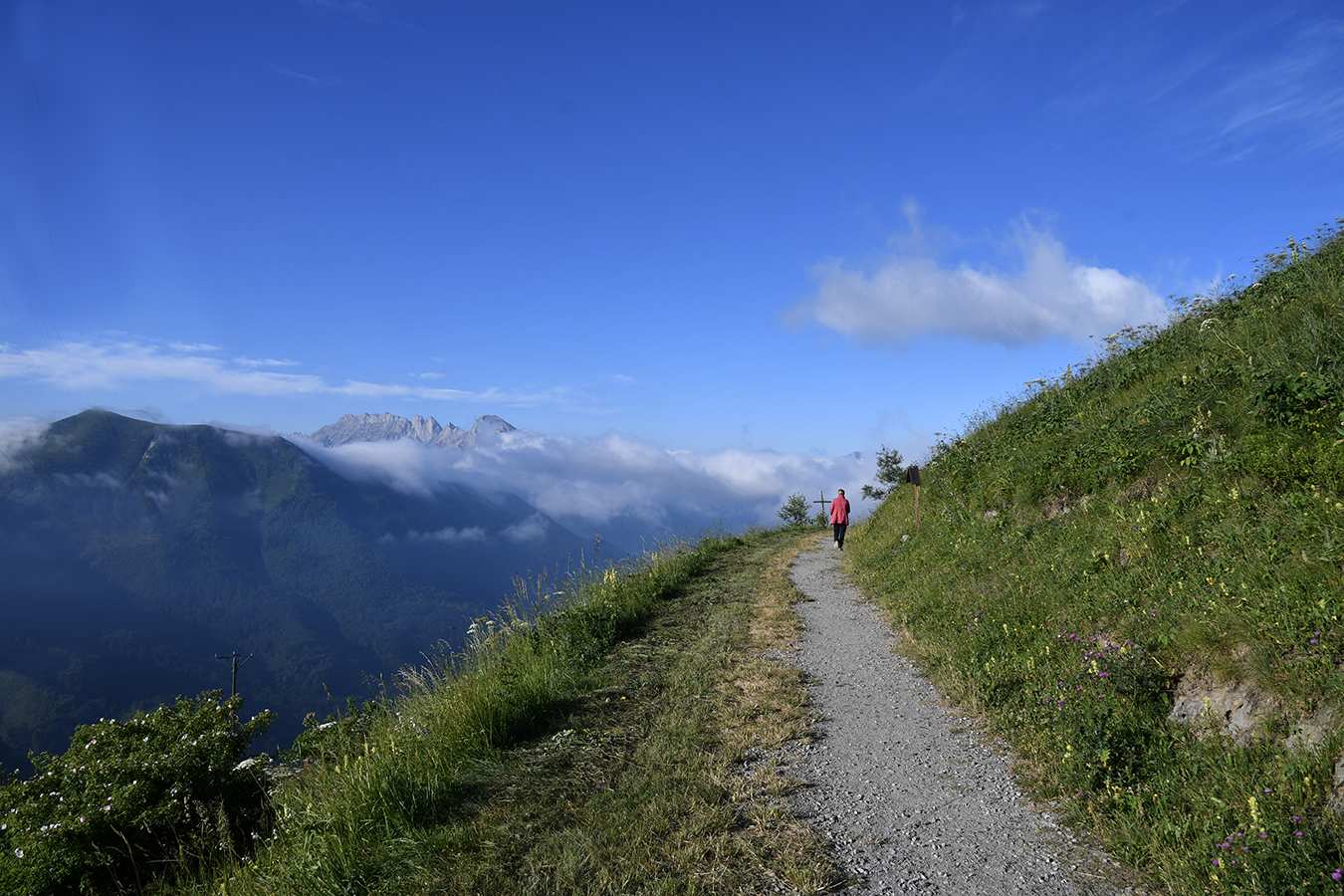 Photos nature: Marche