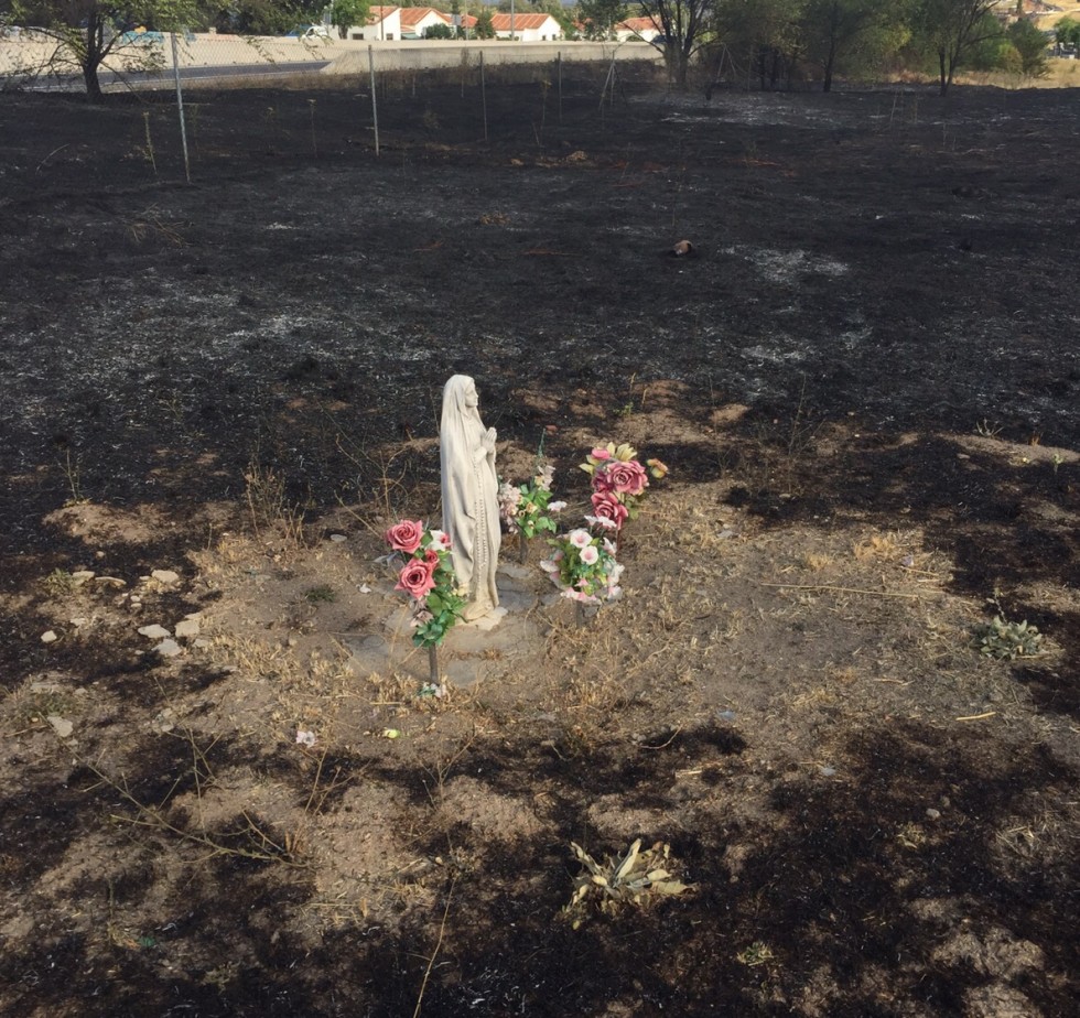 Angels, Wonders, and Miracles of Faith: miracles