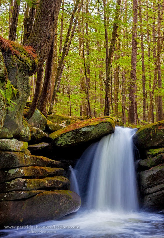 Getting it Right in the Digital Camera : Pulpit Falls (Finally)