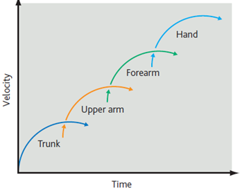What Biomechanical Factors can improve a Netball Goal Shooter’s Accuracy?