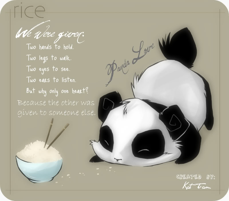 STORYWRAPS: *Alphabet All-Stars* Where Does Panda Fit In? - a bookwrap