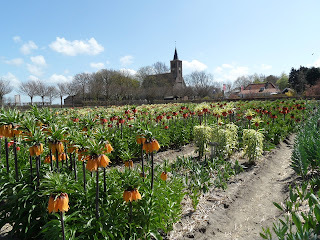 65+ and still young: Middagje Hortus Bulborum in Limmen (NH)