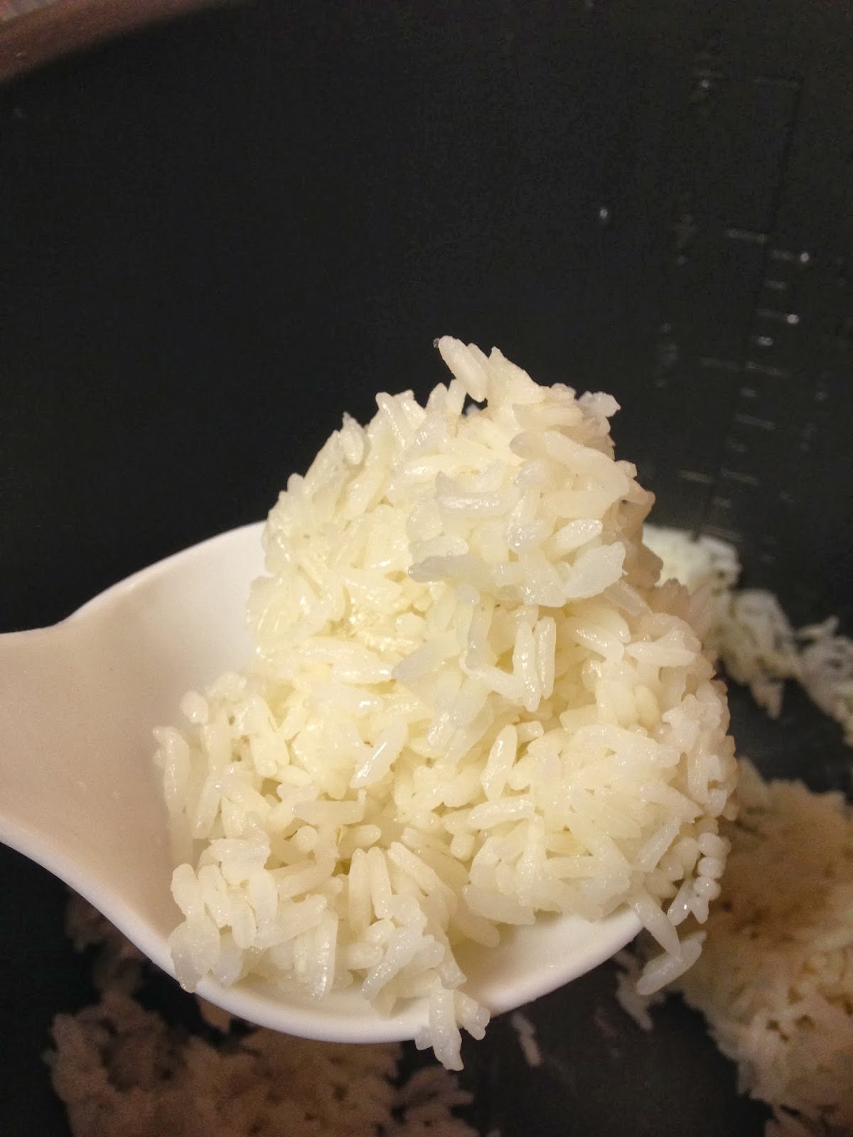 Tracy Cooks in Austin: MORE with the NEW NESCO PRESSURE COOKER, sticky ...