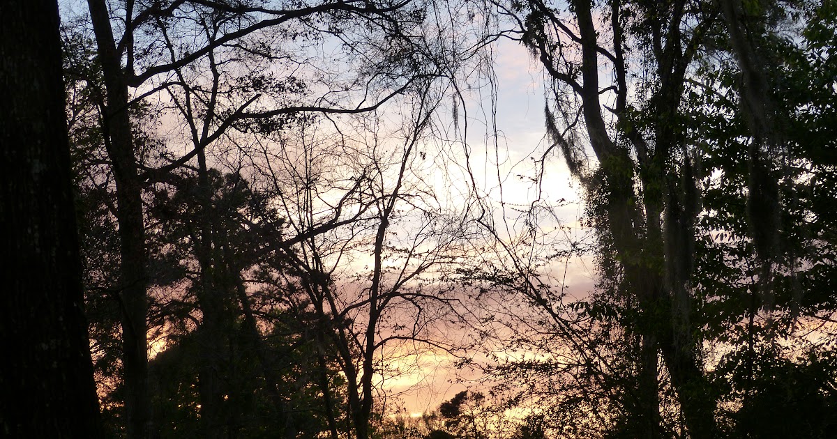 Monica Wilkinson: Slow Spring