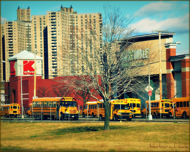 Commonplace Beauty Photography: City Fences…