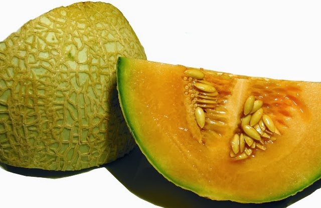 Şifalı Bitkiler Ansiklopedisi Lokman Hekim : Kavun ve Kavunun Faydaları