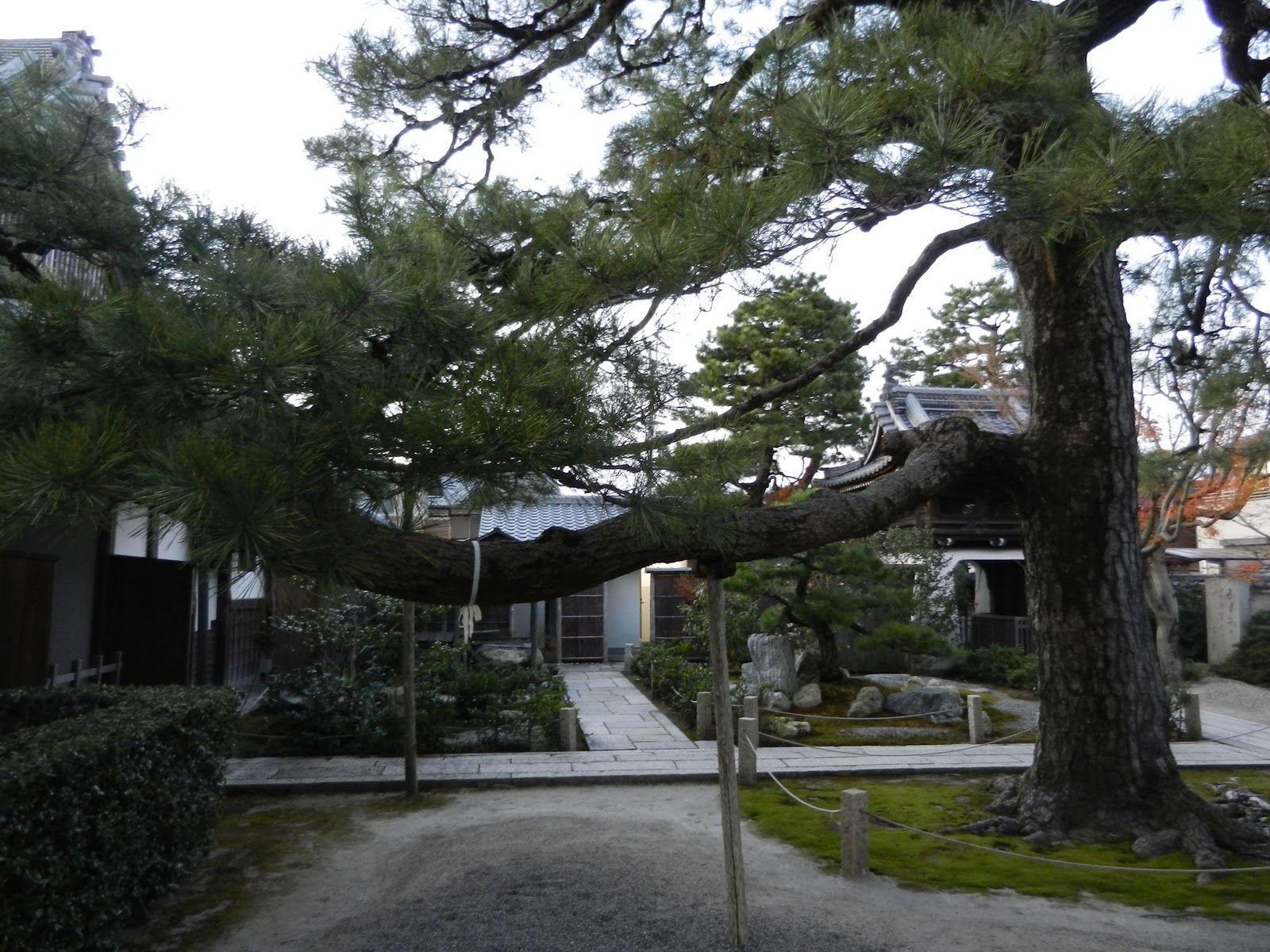 The McLellan Experience: Walking to Katata - Japan Trip