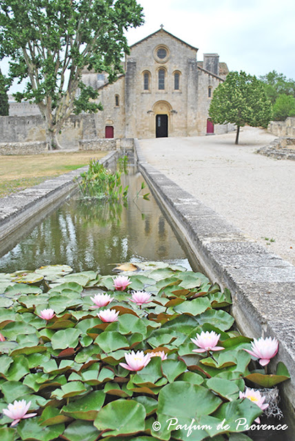 Parfum de Provence: I colori della Provenza: ROSA!