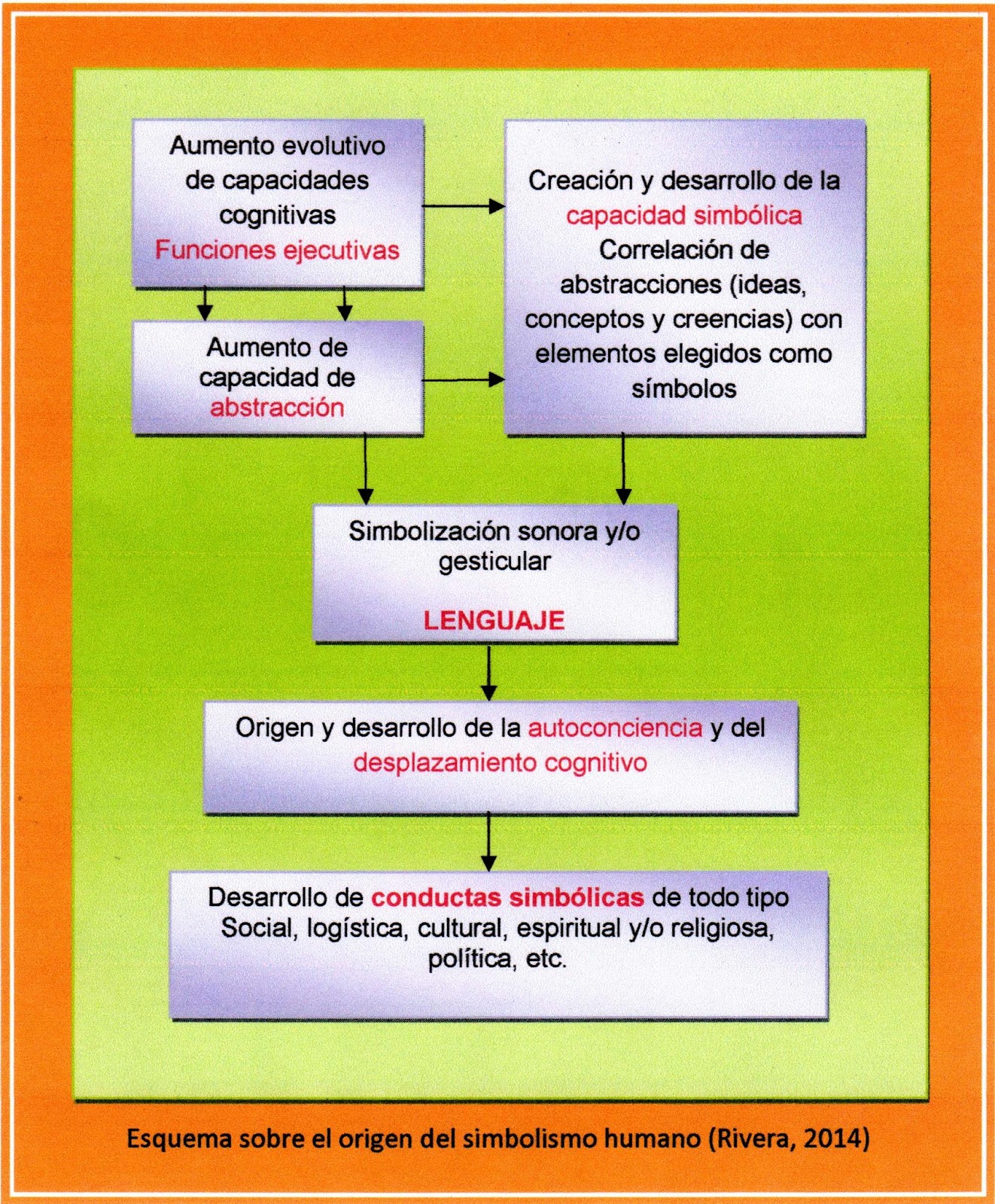 Psicobiología del género Homo: Exaptación, coevolución (morfológica y ...
