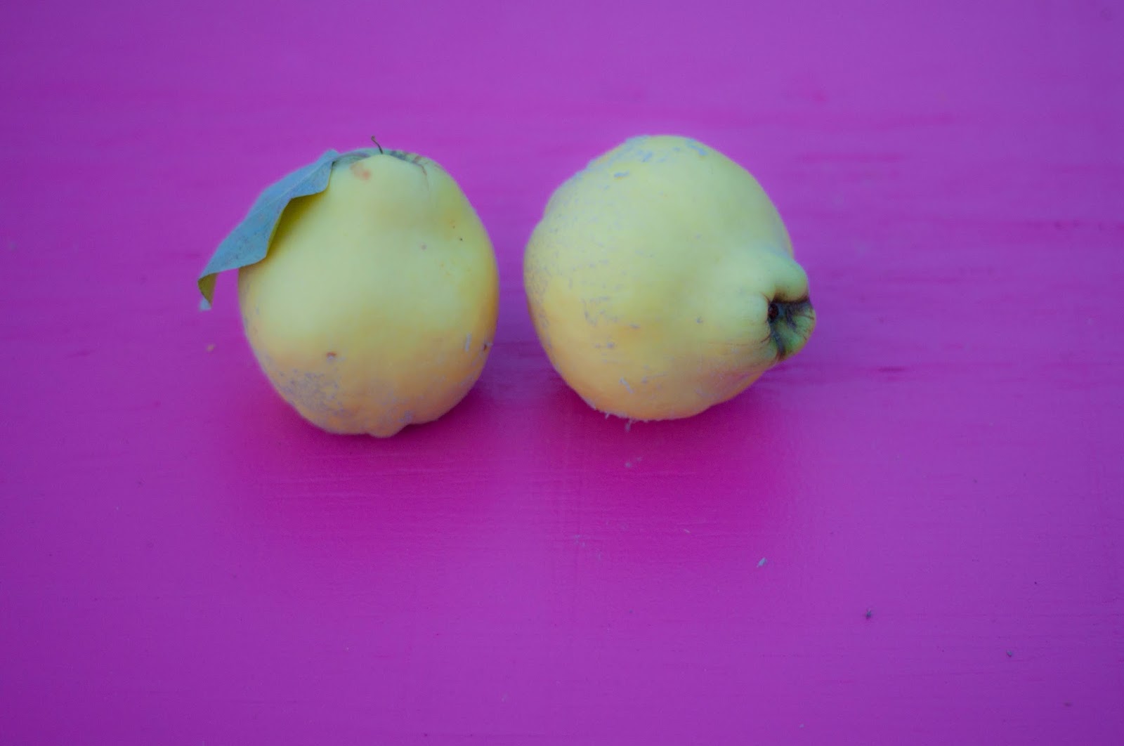 Robson's Farm: What is Quince? And How to Use It.