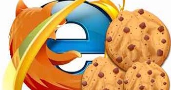 Browser Cookies for Dummies... Again | The Antisocial Network
