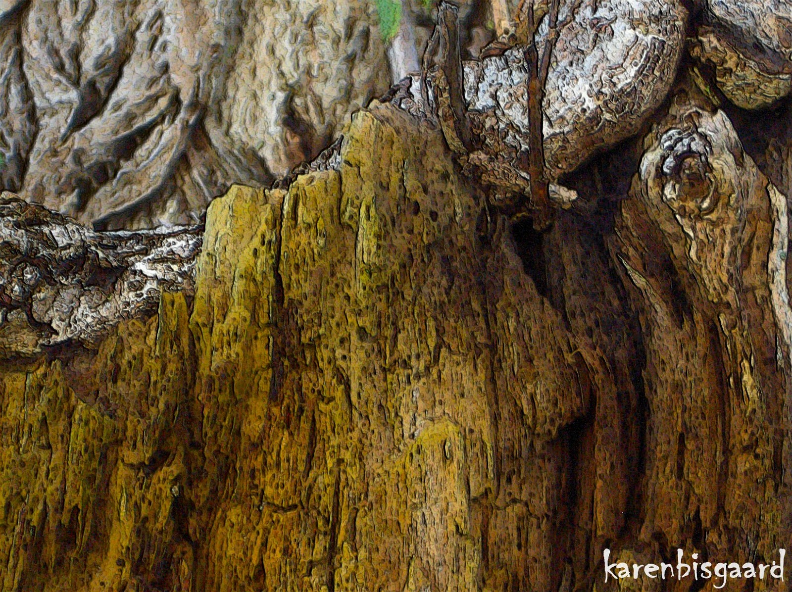Karen`s Nature Photography: Golden Decaying Tree Stump.