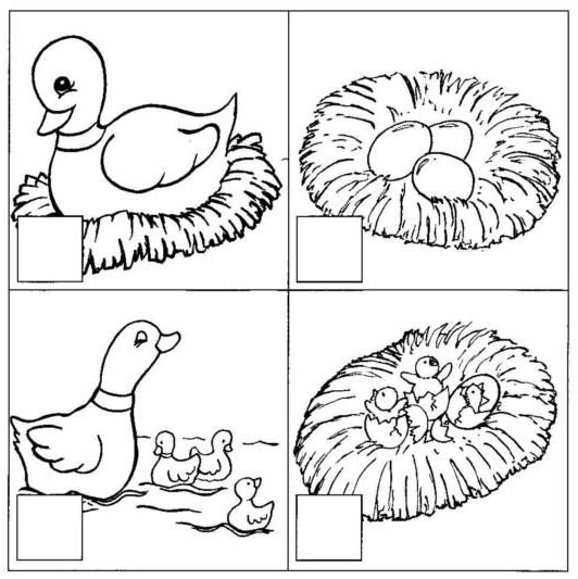 TE CUENTO UN CUENTO: Dibujos en forma secuencial, para ordenar y crear ...